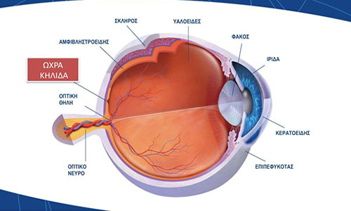 Τμήμα ωχράς κηλίδας - Eye Diagnosis